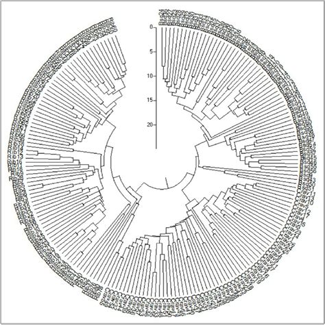 upgma dendrogram generated with issr markers for the 200 metrodorea