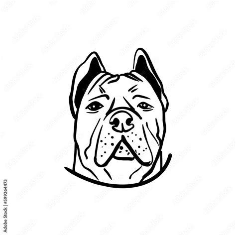 Vector Sketch Hand Drawn Cane Corso Silhouette In Front View Line Art