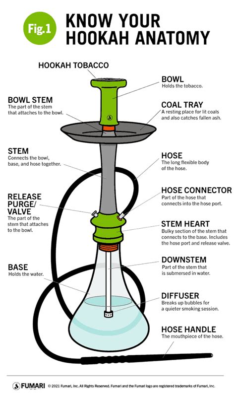 How To Use A Hookah Fumari Inc