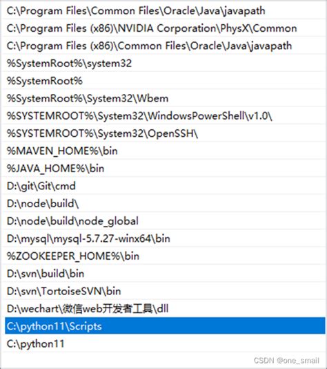 Python Csdn
