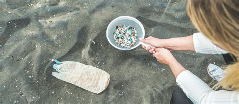 Inquinamento Da Microplastiche Ecco Il Nemico Invisibile Dellambiente