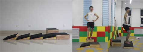 Ankle Proprioception In Drop Landing Test Download Scientific Diagram