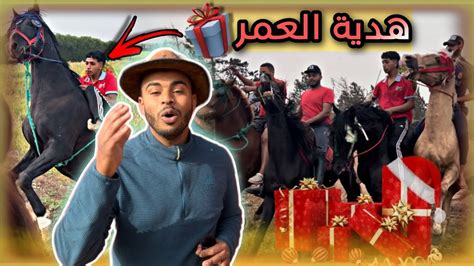 أحسن هدية جاتني الحمد لله 🙈 أشنوا تقدر تكون جولة بالخيول مع لحباب