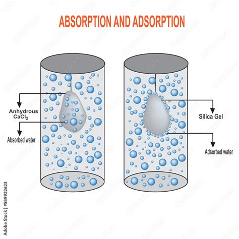 Difference Between Adsorption And Absorption On Molecular Surface