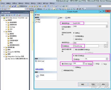 sql server 审计功能 记录所有的操作记录 程序员大本营