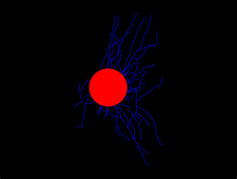 Detailed Cell Information Female Control Cell8