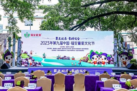 两栖数字科技打造福安葡萄节，助力乡村振兴凤凰网