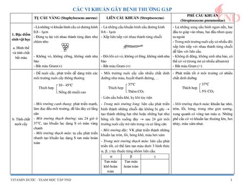 CÁc Vi KhuẨn GÂy BỆnh ThƯỜng GẶp Đc Phần 2 TỤ CẦu VÀng