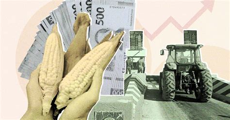 ¿es Adecuado El Precio Del Maíz Revista Espejo