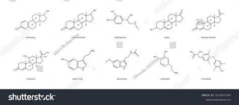 Different Hormons Icons Set Estradiol Progesterone Stock Vector