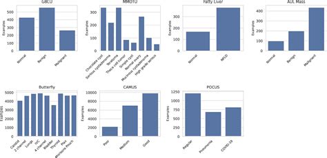 Figure From Revisiting Data Augmentation For Ultrasound Images
