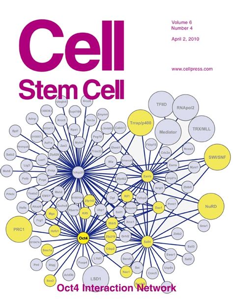 Issue Cell Stem Cell