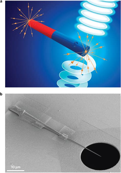 Concept And Design Of The Monopole Field A An Incoming Electron Plane