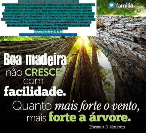 Auditoria Financeira Entenda O Que é E Sua Importância Assessoria Co