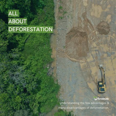 Deforestation Causes Effects And Preventive Measures