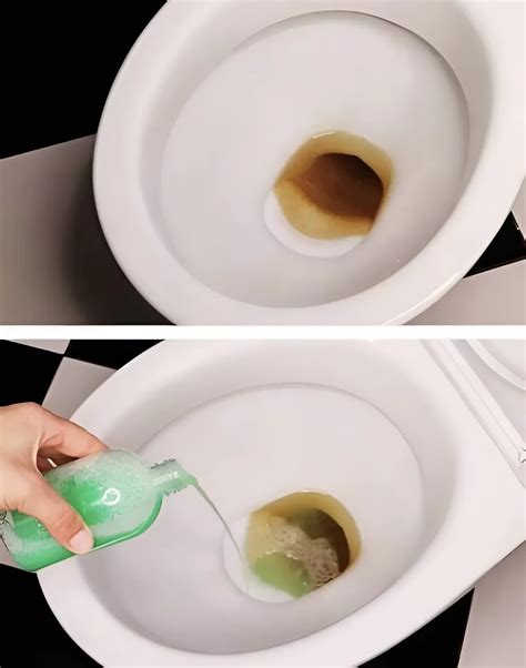 Very Interesting ალიან საინტერესოა 🚽 🚽 მიიღეთ ბზინვარე თეთრი ტუალეტი ჩაასხით ეს ნაზავი და