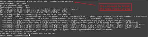 How To Setup Lamp In Ubuntu Step By Step Guide Pti Webtech