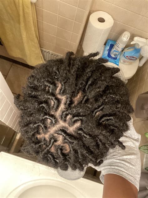 Is My Hair Budding Rdreadlocks