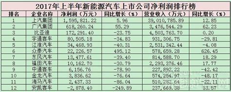 2017年上半年新能源汽车上市公司净利润排行榜中国化学与物理电源行业协会