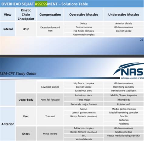 NASM Study Guide Flashcards Quizlet