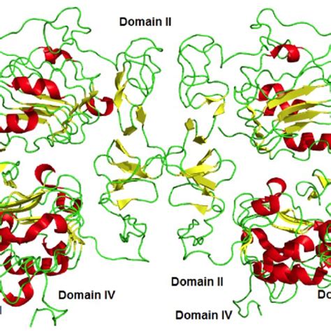 Pdf Review On Epidermal Growth Factor Receptor Egfr Structure