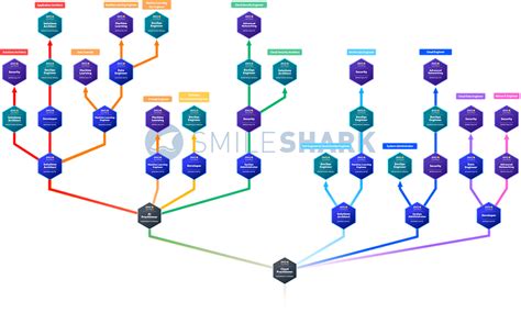Aws 자격증 종류와 등급 2024년 새롭게 업데이트 된 Aws Certification