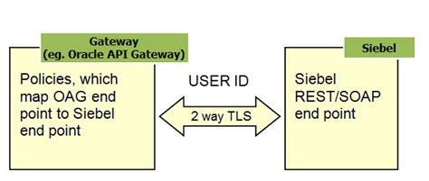 About Oracle Api Gateway Role In Single Sign On Authentication Process
