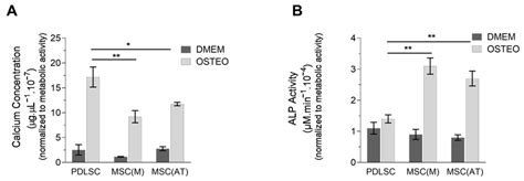 Quantitative Assessment Of Calcium Content And Alkaline Phosphatase