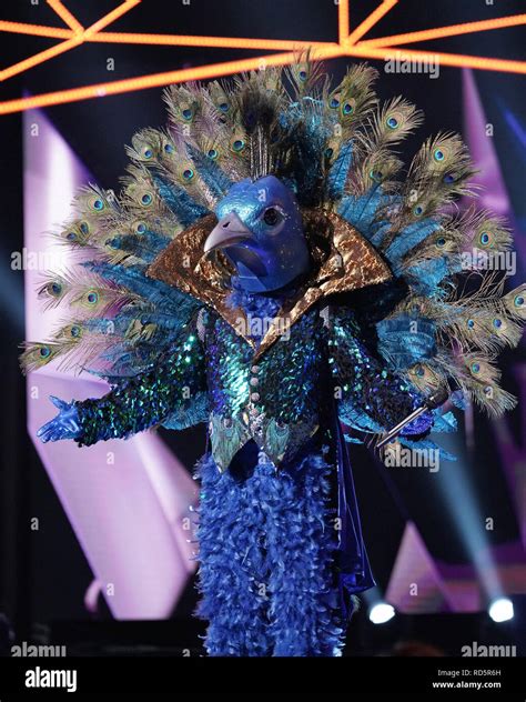 The Masked Singer Peacock Mask On Face Off Season 1 Ep 101 Aired Jan 2 2019 Photo