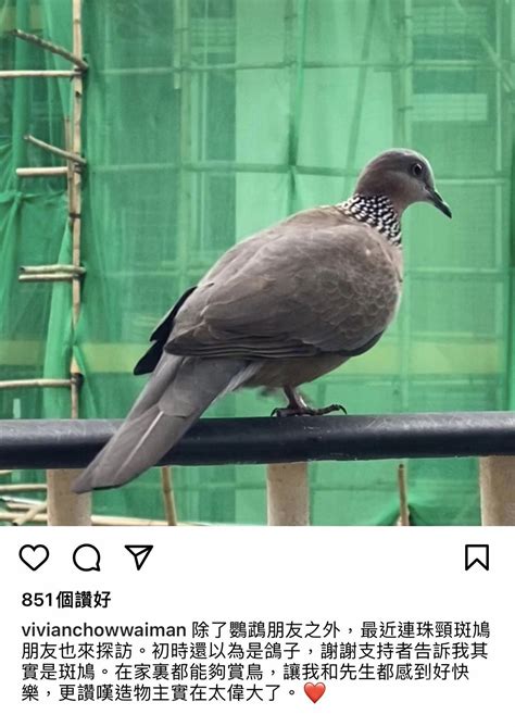 突爆離婚兼秘密轉移資產 周慧敏驚傳踢倪震淨身出戶 澳門力報官網