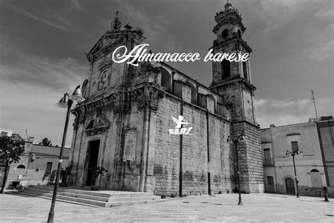 Accadde A Bari Gli Abitanti Di Loseto Protestano Per Le Condizioni