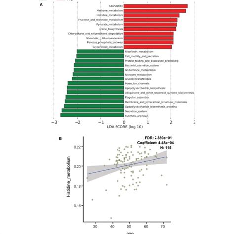 Functional Analysis Of Predicted Metagenomes A Differentially Download Scientific Diagram