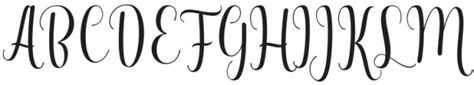 kaitlyn regular otf 400 font script modern what font is
