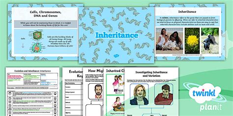 Science Evolution And Inheritance Year 6 Lesson Pack 1