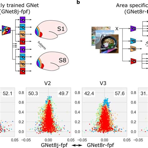 Comparison Of Brain Optimized DNNs Trained Jointly Or Independently On