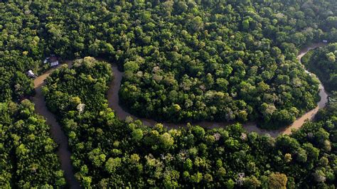 Brazil Other Amazon Rainforest Countries To Meet For The First Time In