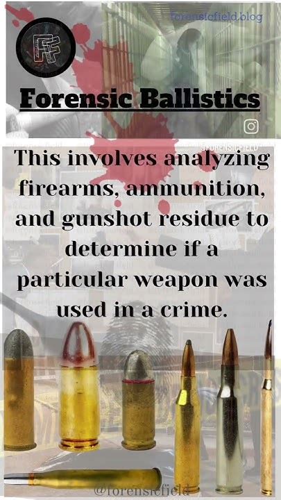 Forensic Science Youtube