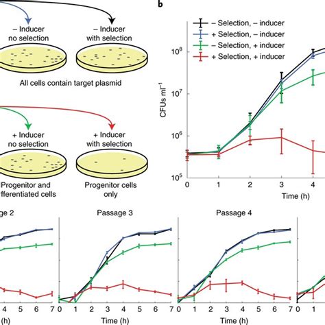Asymmetric Plasmid Partitioning In E Coli A The App Network Consists Download Scientific