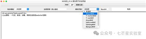 Webshell免杀工具附加流量混淆 Csdn博客