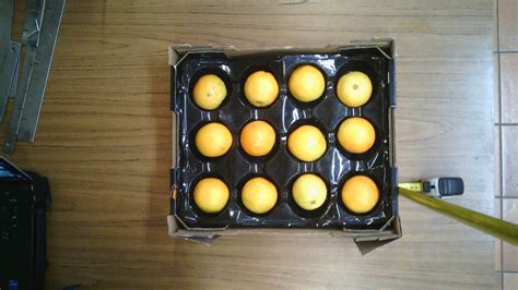 Fruit Detection Object Detection Dataset And Pre Trained Model By Dix