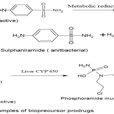 First Order Hydrolysis Plot Of Amoxicillin Prod 1 In A 1n Hcl B