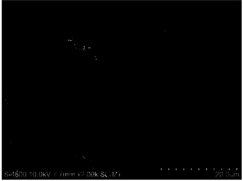 Nickel Coated Graphite Composite Particle Preparation Method Eureka Patsnap