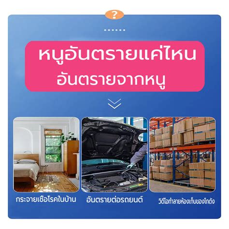หนูหายไปแล้ว น้ำยาฉีดไล่หนู 500ml สเปรย์ไล่หนู จิ้งจกตุ๊กแก น้ำยาไล่หนู