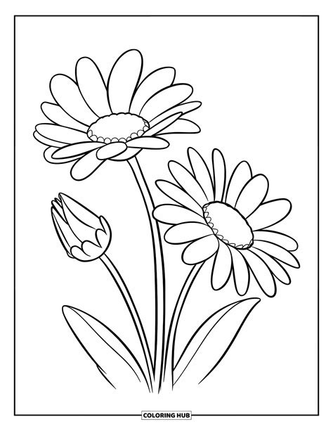 100 Desenhos De Margaridas Para Colorir Para Crianças E Adultos Pdfs