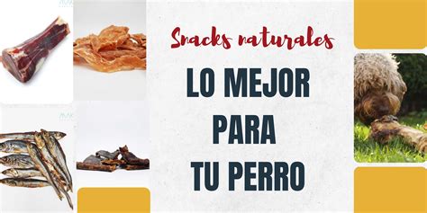 Mejores Snacks Naturales Para Perros Guía Completa Hablando Con Perros