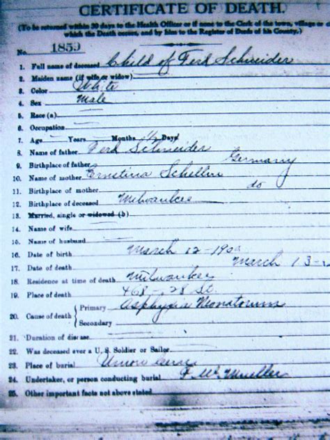 Son Of Ferdinand Schneider 1900 1900 Find A Grave Memorial