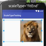 All ScaleType In ImageView With Example In Android Studio Abhi Android