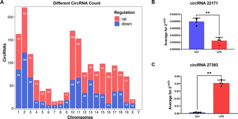 Distribution Of Altered Circrnas And Their Validation A The