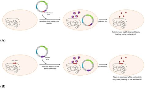Pathogens Free Full Text Antibiotic Free Selection In