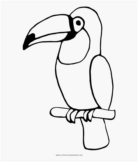 Toucan Coloring Page Colouring Page Of A Toucan Hd Png Download